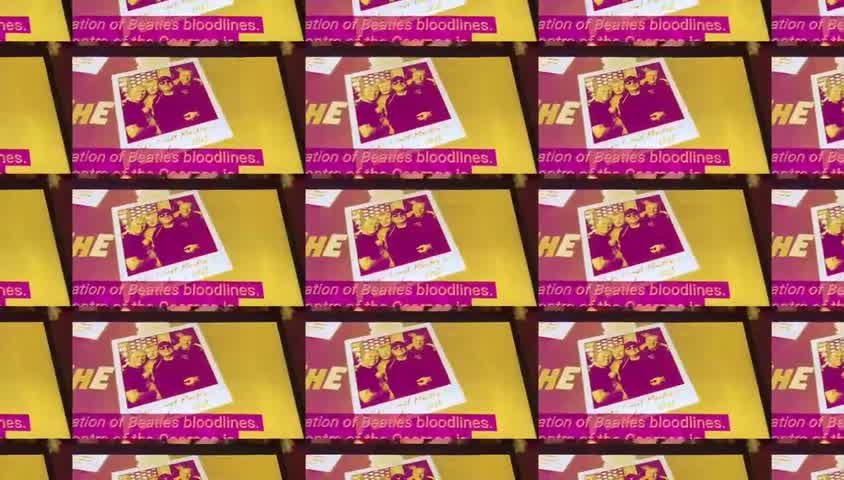 "Rip Off" de Sean Ono Lennon, James McCartney y Zak Starkey